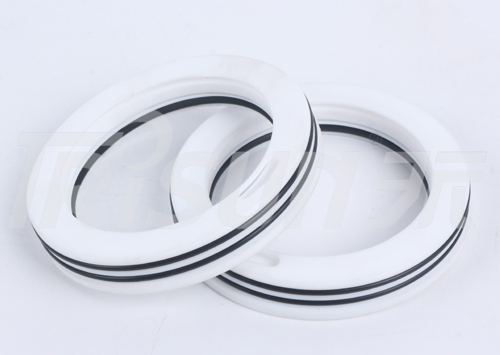 Experienced supplier of Bearing Isolator ,also named Bearing Protector ...