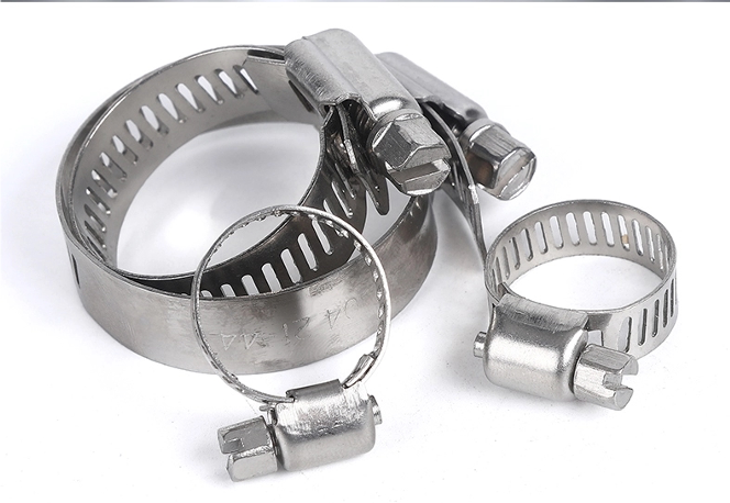 Experienced supplier of Hose hoop