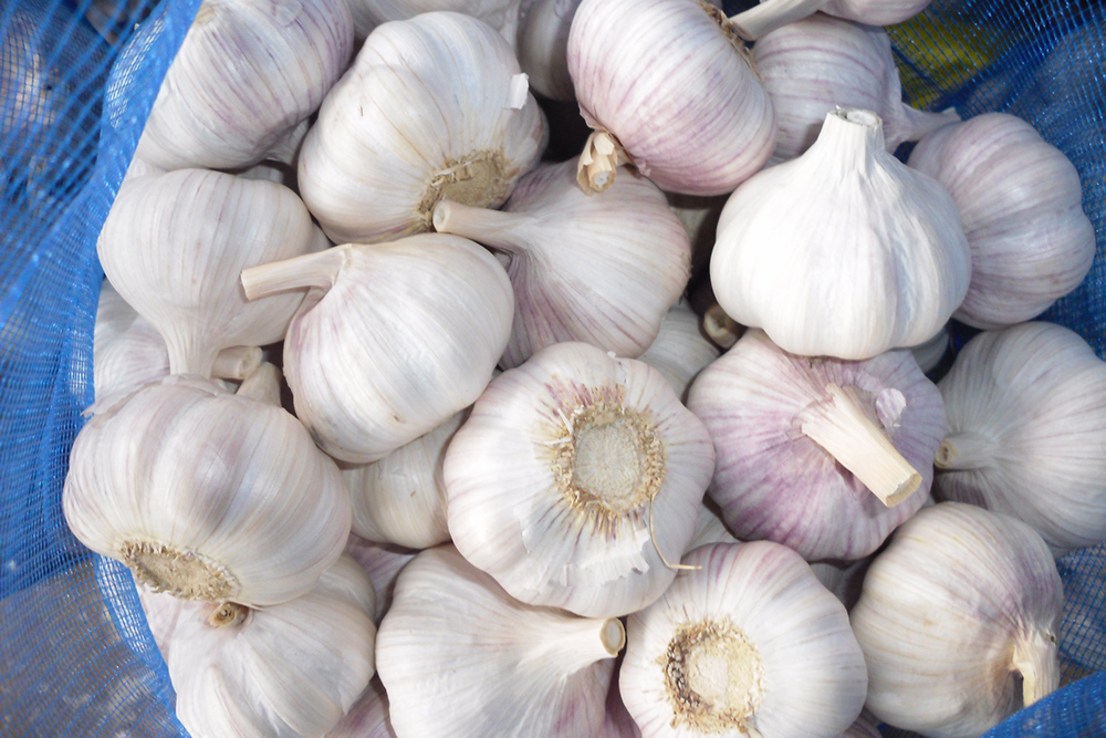 Quality Normal White Garlic Supplier | Jining Fuyuan Fruits ...