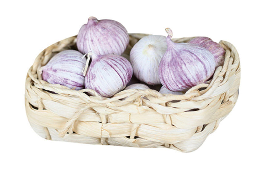 Solo Garlic,Pure White Garlic For Sale | Jining Fuyuan Fruits ...