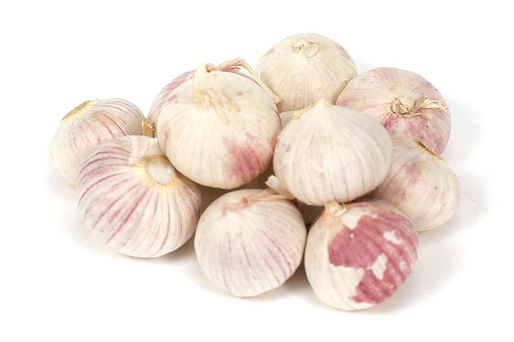 Solo Garlic,Pure White Garlic For Sale | Jining Fuyuan Fruits ...