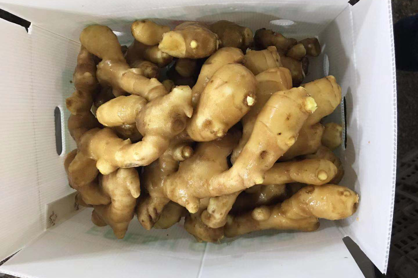 Fresh Ginger 100g and up For Sale | Jining Fuyuan Fruits & Vegetables ...