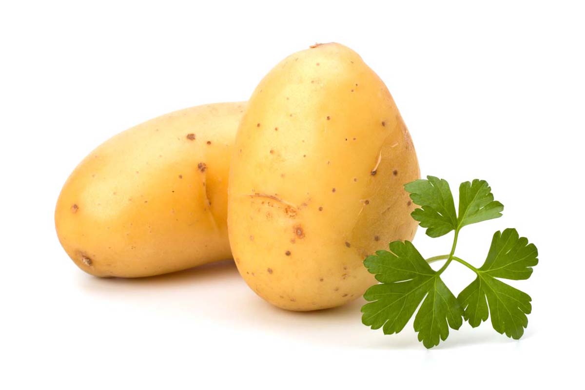 Fresh Potato For Sale | Jining Fuyuan Fruits & Vegetables Co.,Ltd.